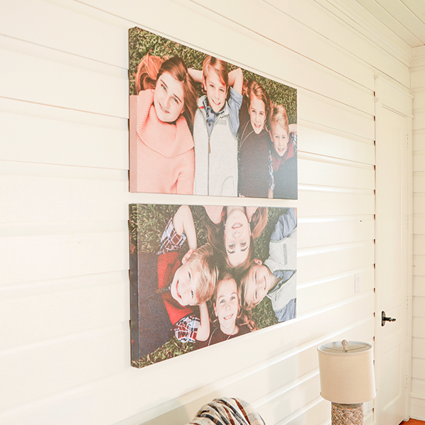 The Meadow | Smallwoods