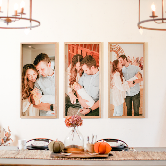 The Meadow | Smallwoods