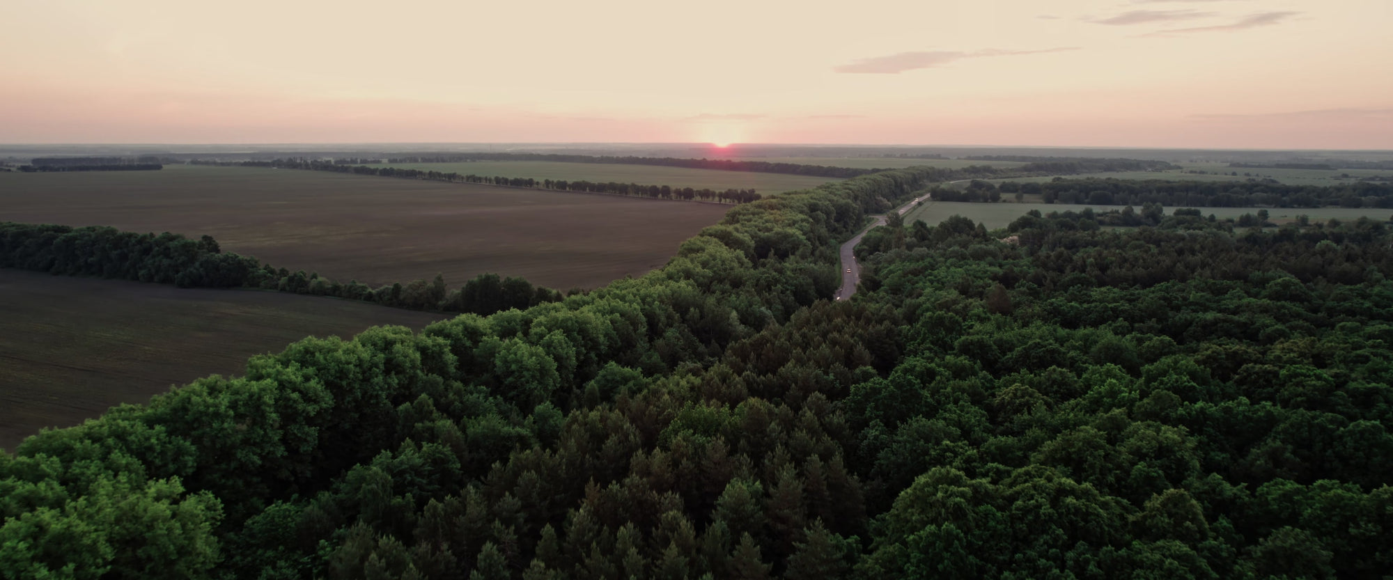 The Smallwoods Story | Smallwoods