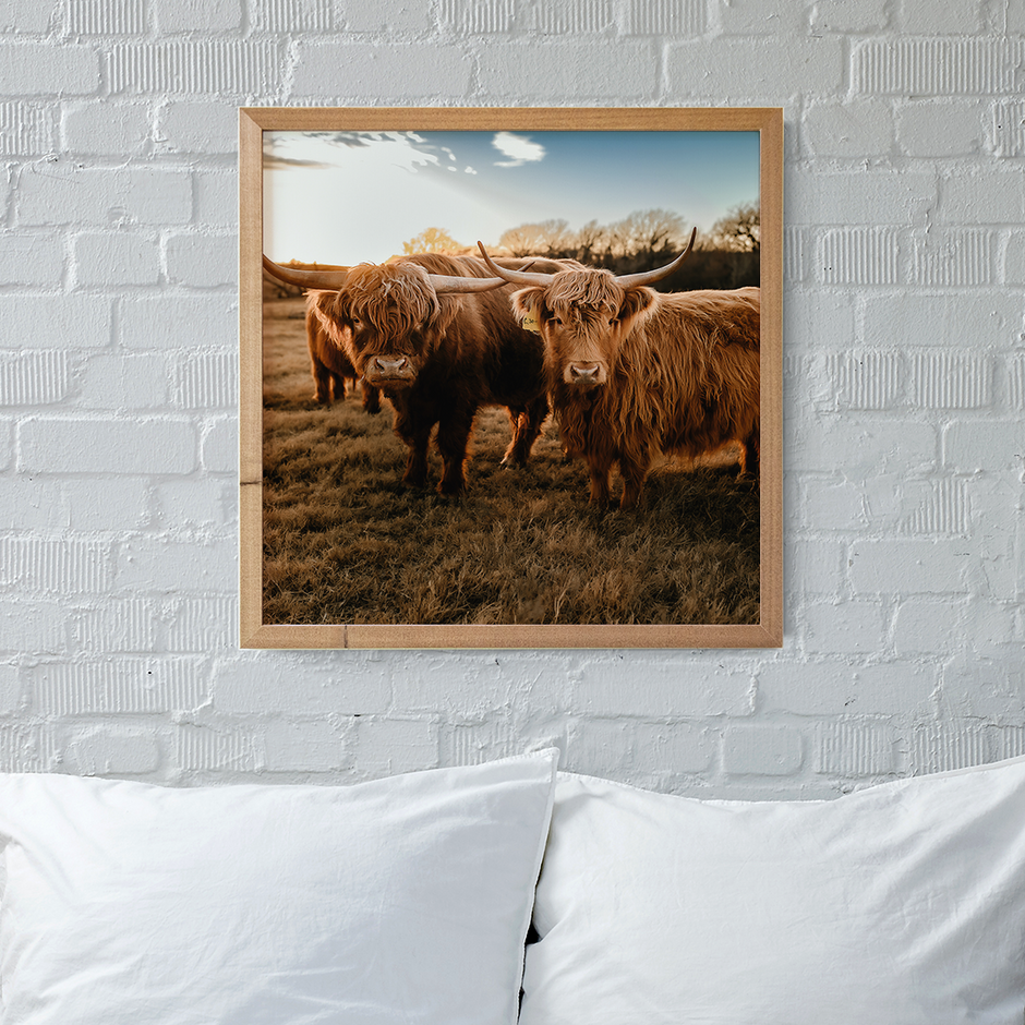 Nature Prints – Smallwoods