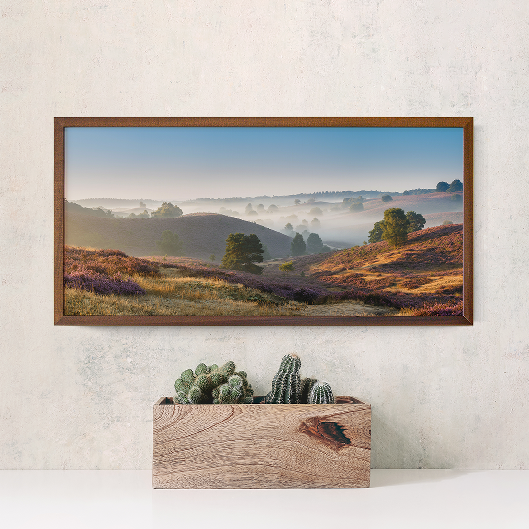 Nature Prints – Smallwoods